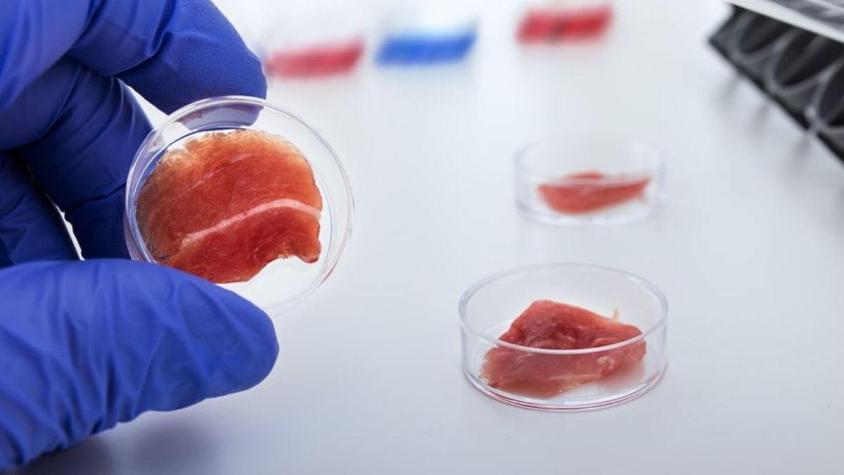 Satisfying the Global Appetite for Sustainable Proteins