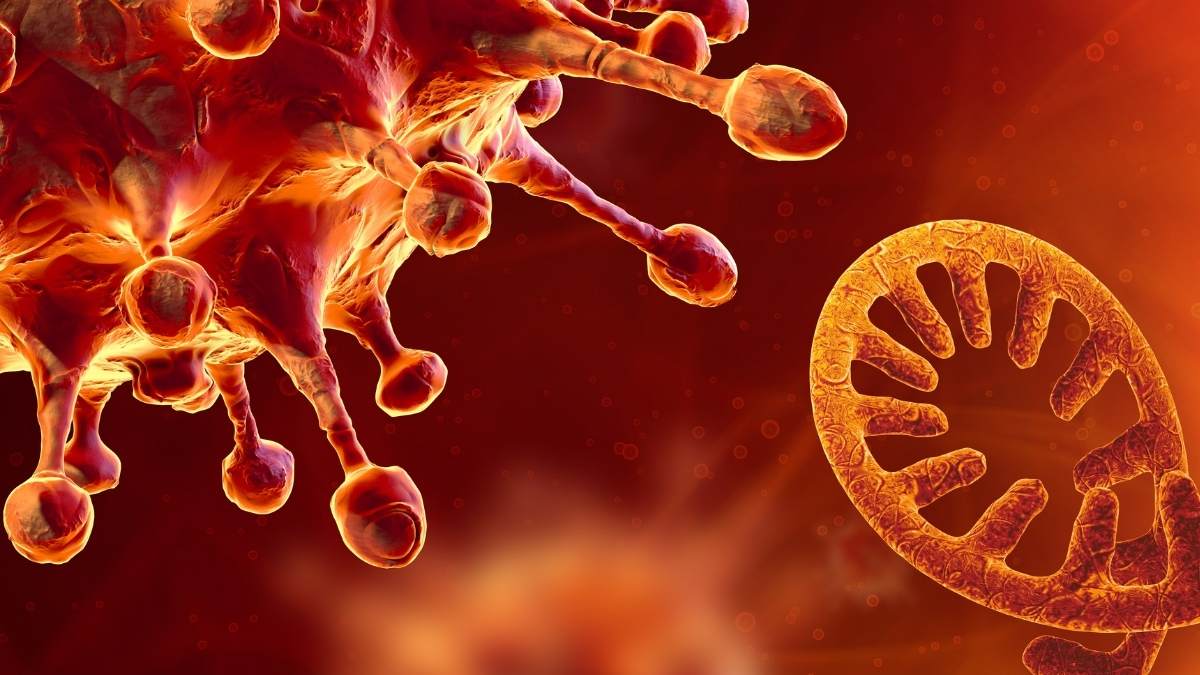 Singapore Scientists Dissect Rna Structures Of Sars-cov-2