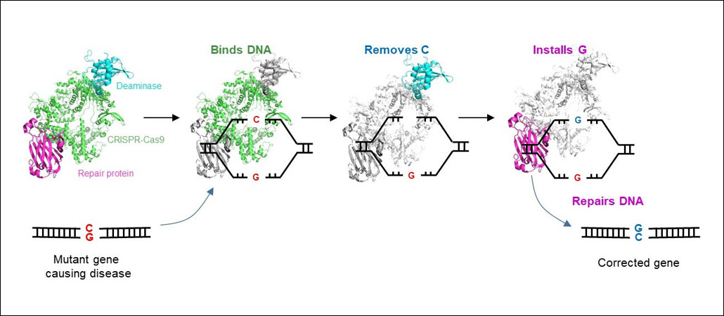 Genome Institute of Singapore (GIS)