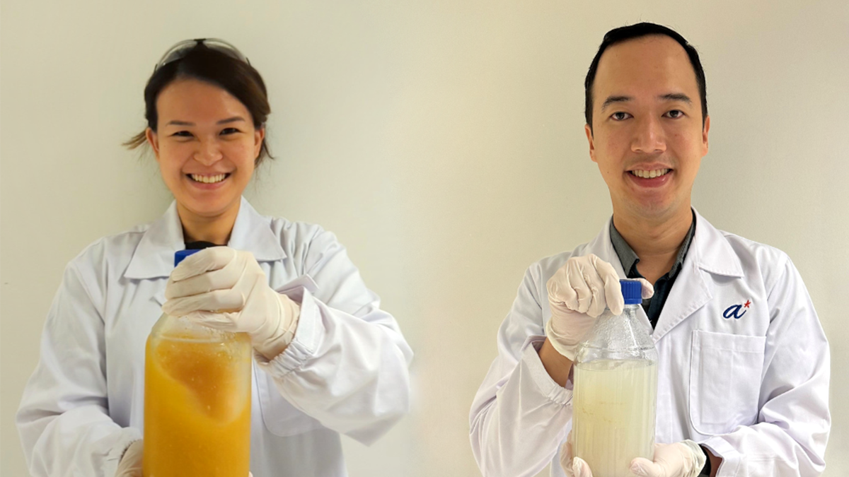 Transforming Fruit Waste to Useful Sustainable Materials