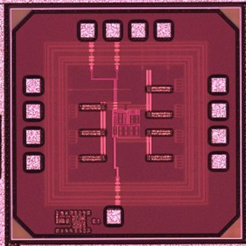 Institute of Microelectronics
