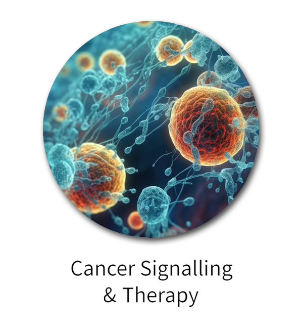 Institute of Molecular and Cell Biology (IMCB)