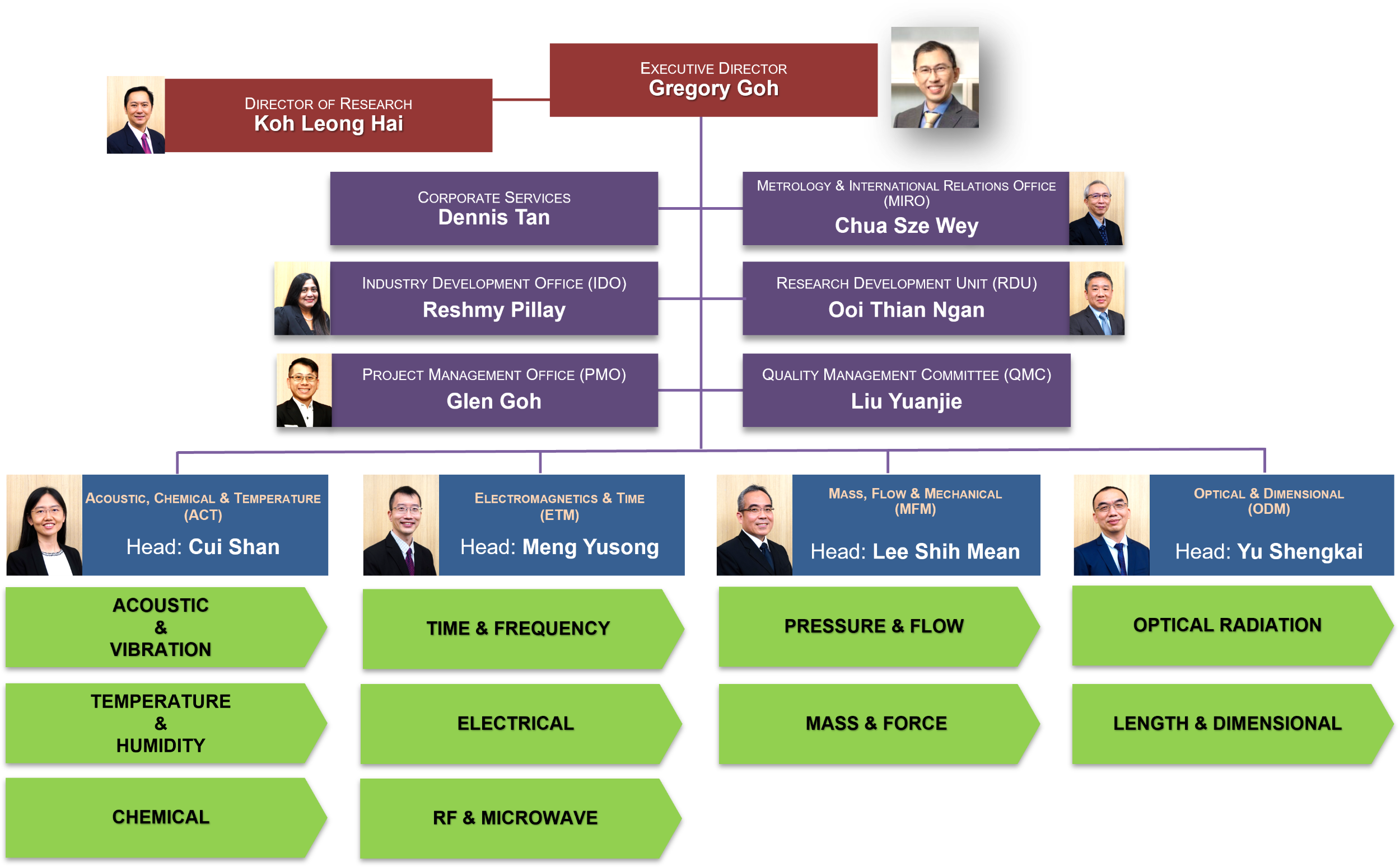 NMC Organisation Chart