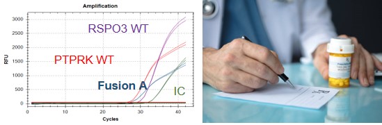 Success Stories - combined