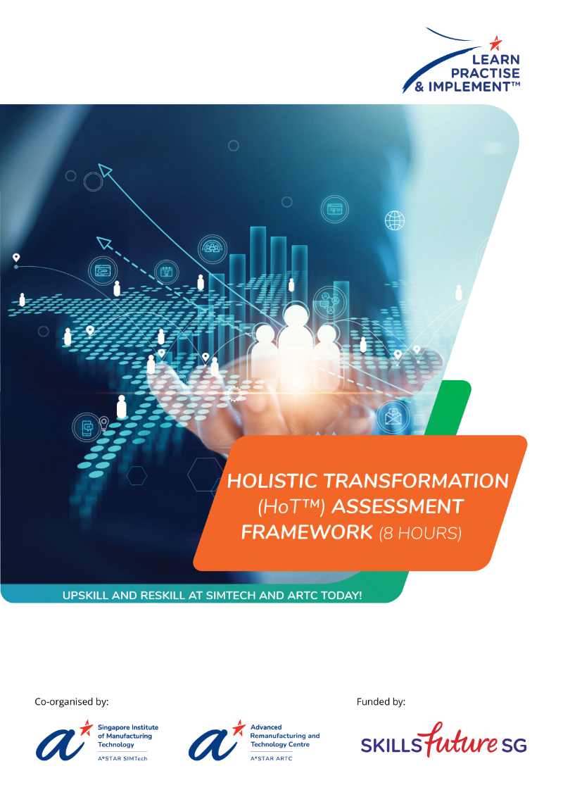 Holistic Transformation Assessment Framework