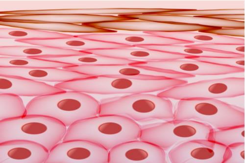 Research - Skin Research Institute of Singapore