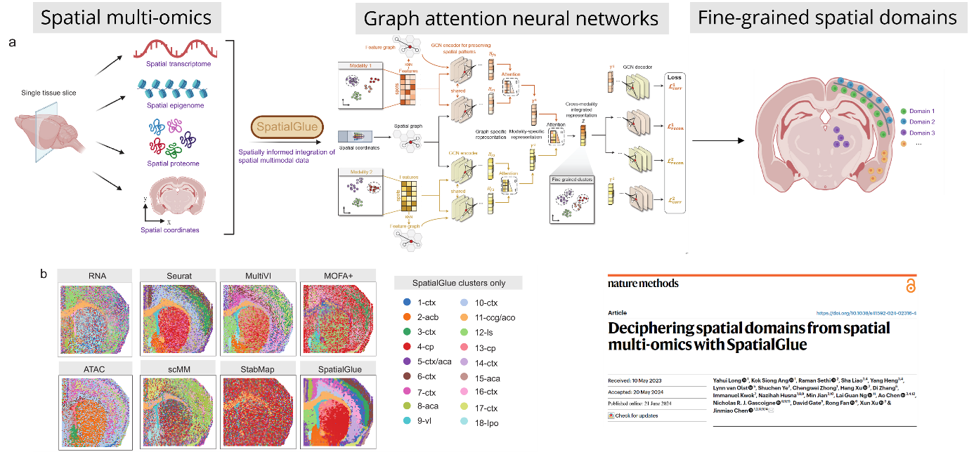 BII - Single-Cell Multi/Spatial-Omics and Precision Technology