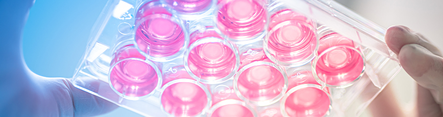 A*STAR Skin Research Labs (A*SRL)